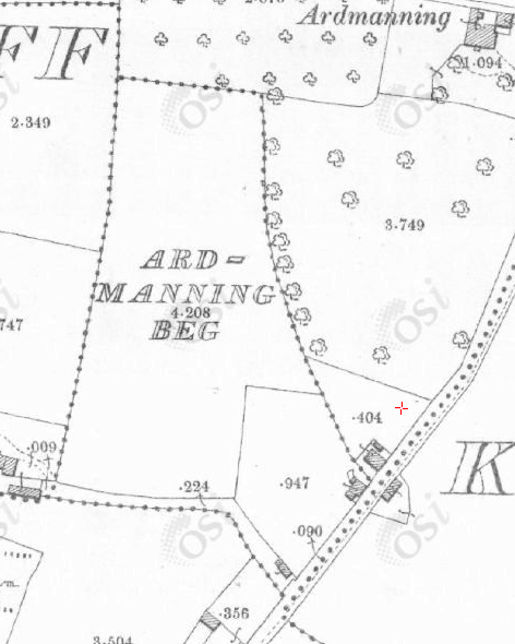 Togher Historical Association: 2013