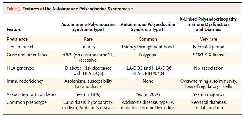 Borborygmus: Autoimmune Polyendocrine Syndrome