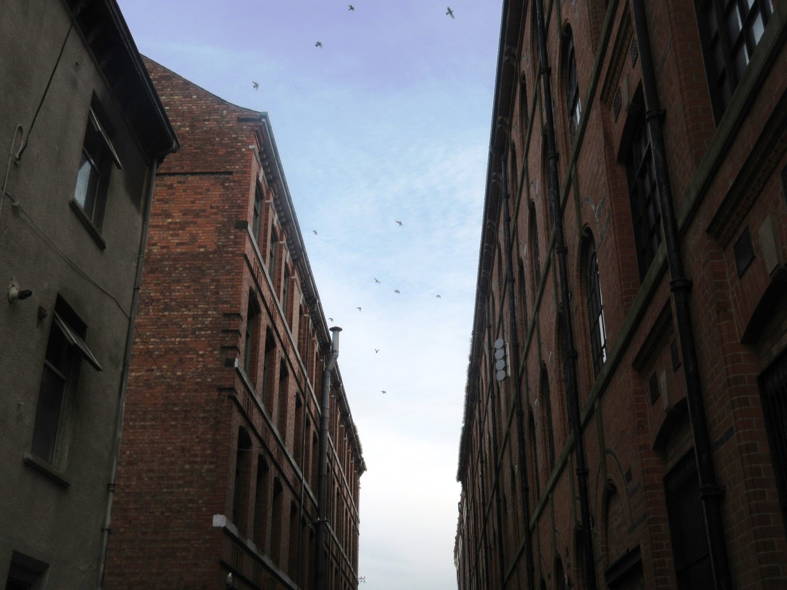 Liberal England: Wheat Street saw Leicester's slums come and go