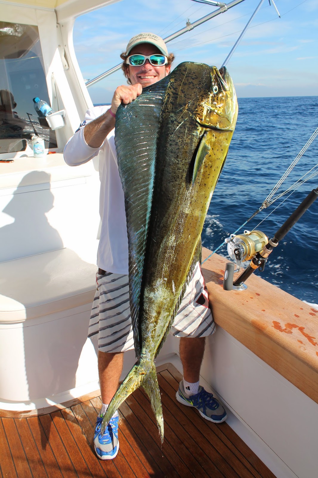 602 BILLFISH RELEASES IN 12 DAYS!!! - Sailfish Oasis