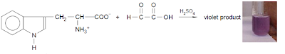 My Shadows: Tests for Proteins -2