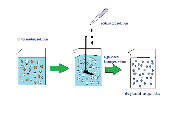 Shubham Singh (Universe): Preparation of nanoparticles by Ionic gelation