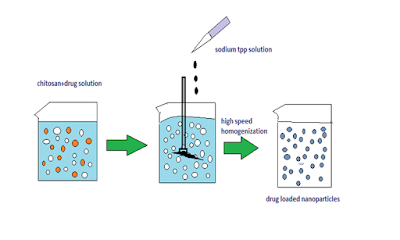 Shubham Singh (Universe): Preparation of nanoparticles by Ionic gelation