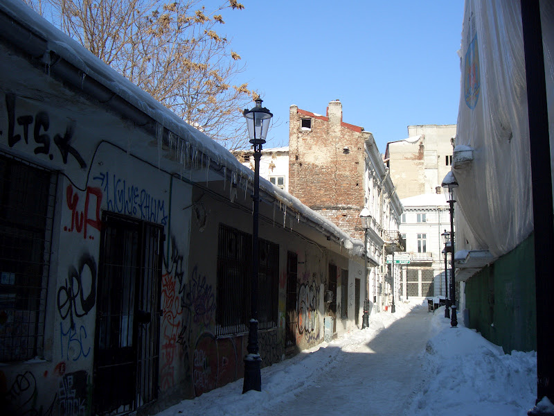 consemnări, poezii, eseuri: Scriitorul zilei: Radu Albala; poezii ...