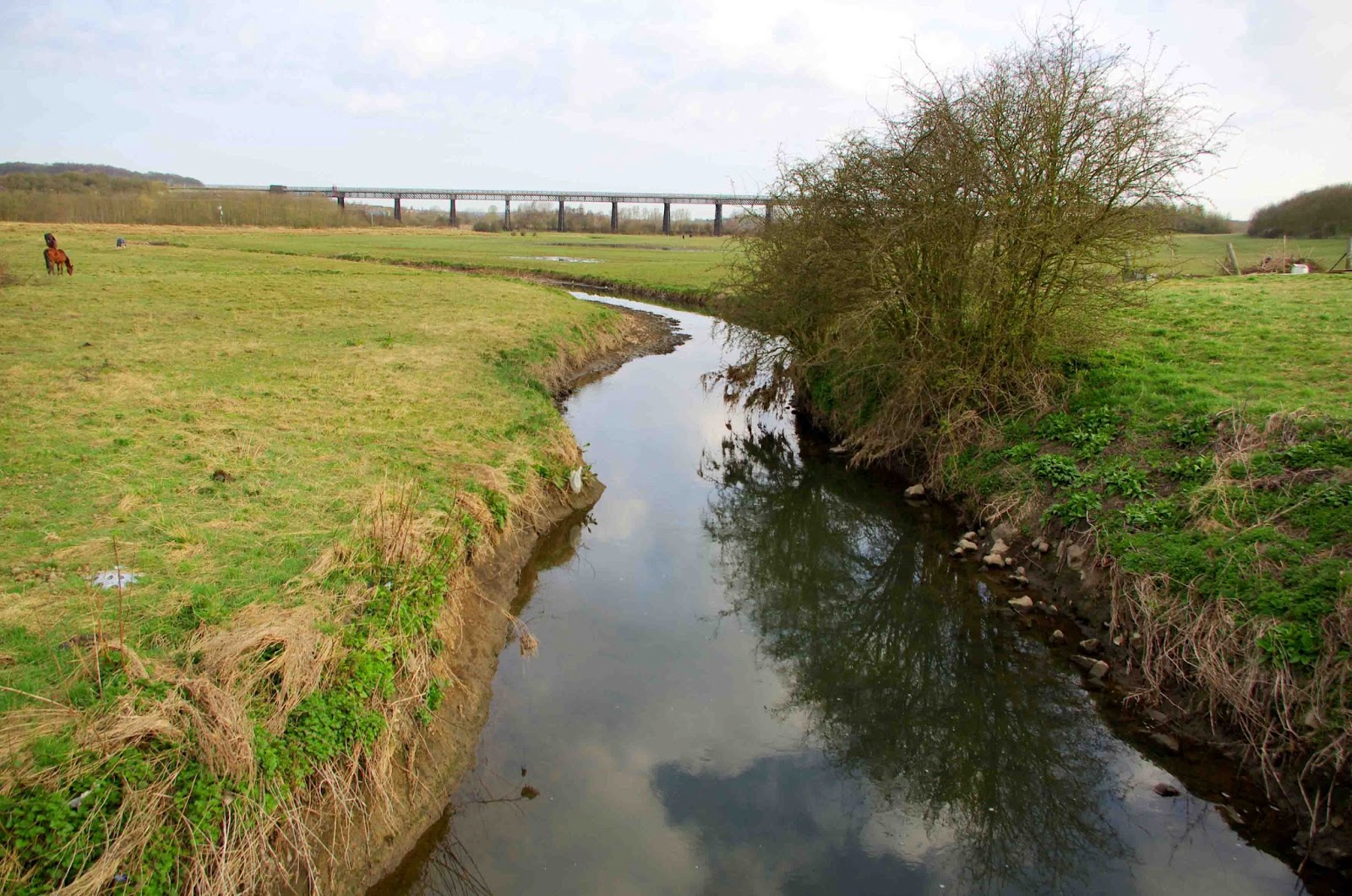 Out & About: Bennerley Viaduct & Flying Cars