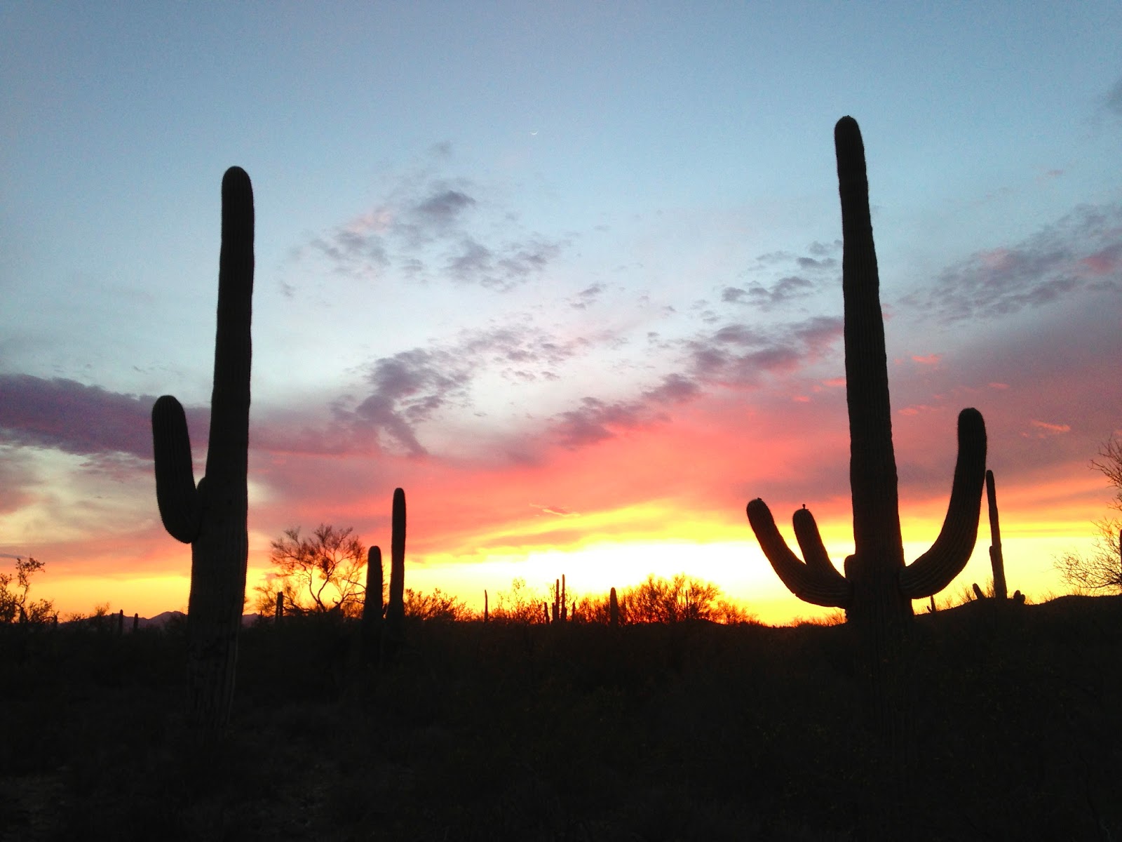 Arizona Sunsets: The Science Behind the Beauty | Truck Camper Adventure