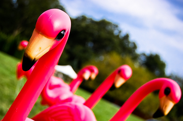 RETRO KIMMER'S BLOG: INVENTOR OF THE PLASTIC PINK FLAMINGO HAS DIED