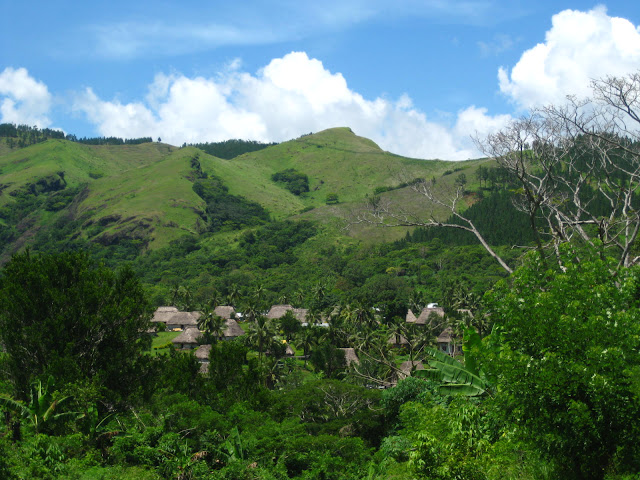 Hannah in Fiji: Kava..grog..what?