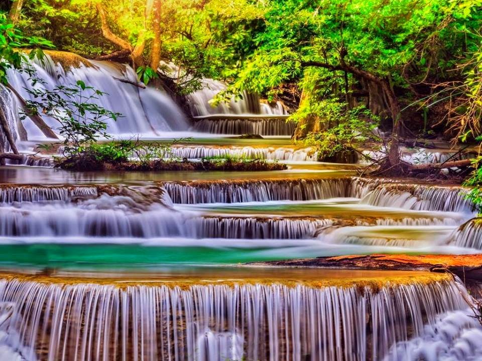 nature: Nature cutes