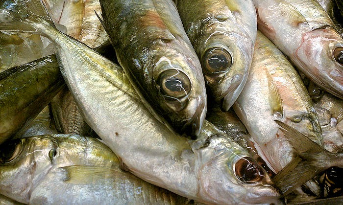 Left Field Wander: Phone Pix 32: Fish Market