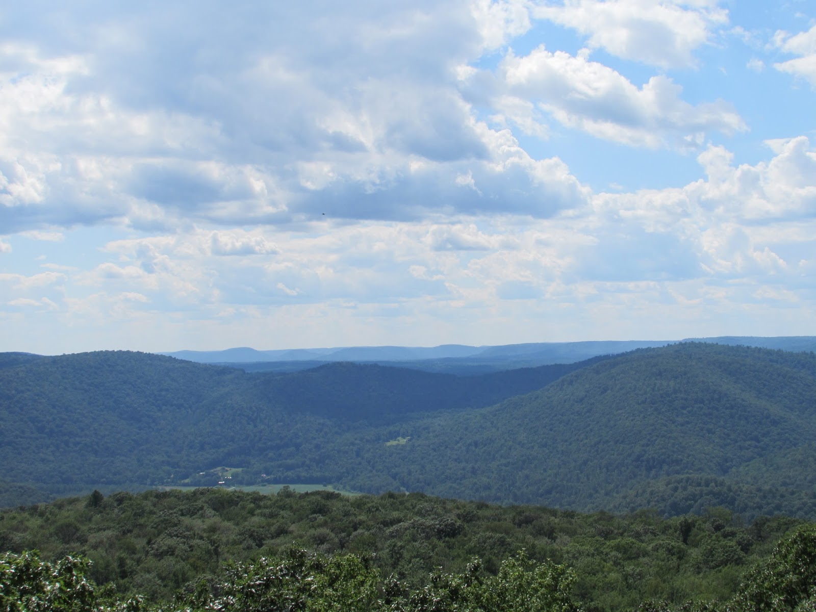 Amazing High Knob Overlook in Summer | Interesting Pennsylvania and Beyond