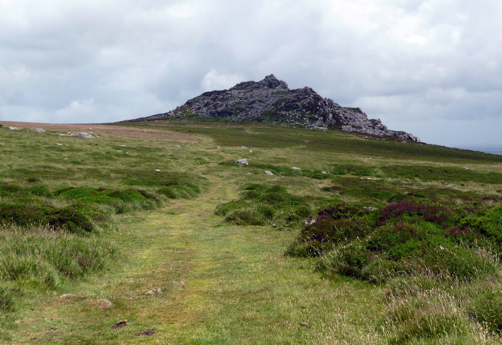 Moors and More: Mynydd Carningli (above Newport)