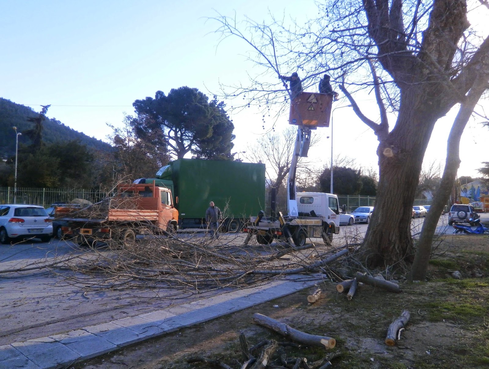 Πήραν με την ψιλή τα δέντρα στο Λιμνίο της Ξάνθης – Κούρεμα σε ξερά και ...