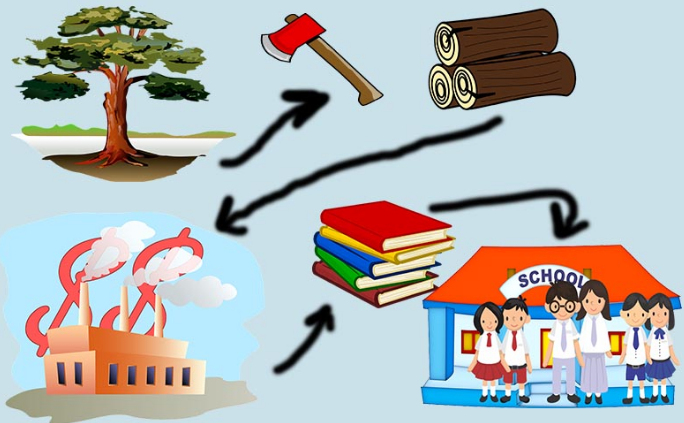 Paper Making Process Starting From Wood To Book Making Process paper-making-process-starting-from-wood-to-book-making-process