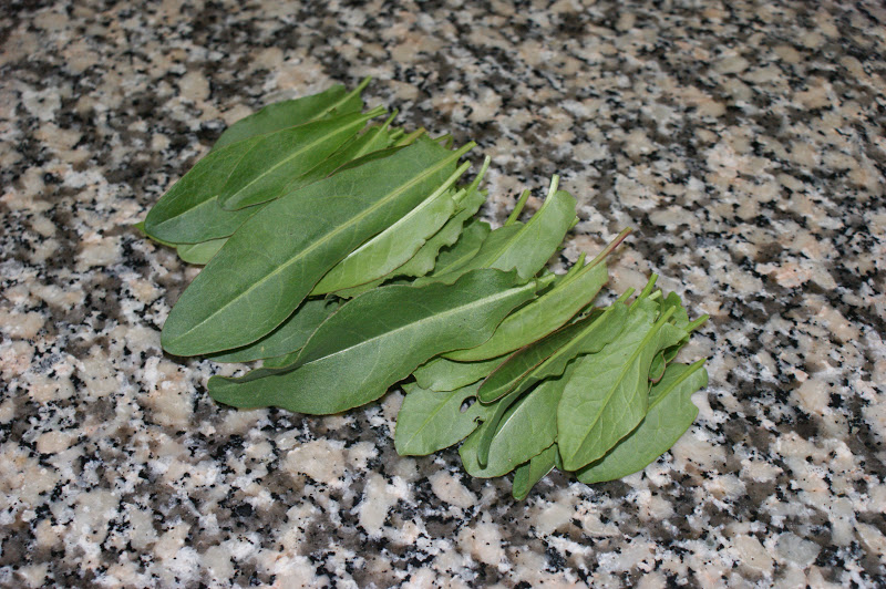 CULTURAS NO CAMPO: AZEDAS E JEROPIGA