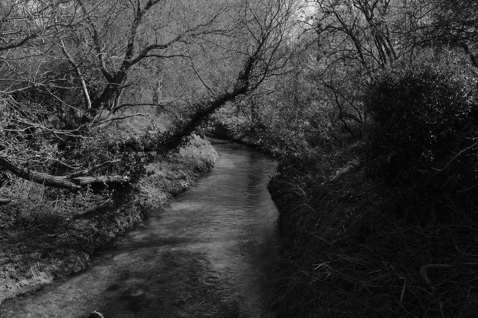 A spring walk across Magog Down, to Stapleford Parish Pit, the River ...