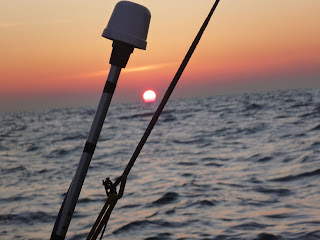 Where is Tara Tari ? Le grand voyage de Capucine et Tara Tari: Baston ...