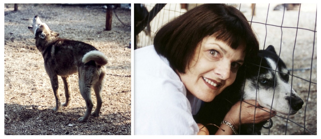 Susan Butcher's Instagram, Twitter & Facebook on IDCrawl