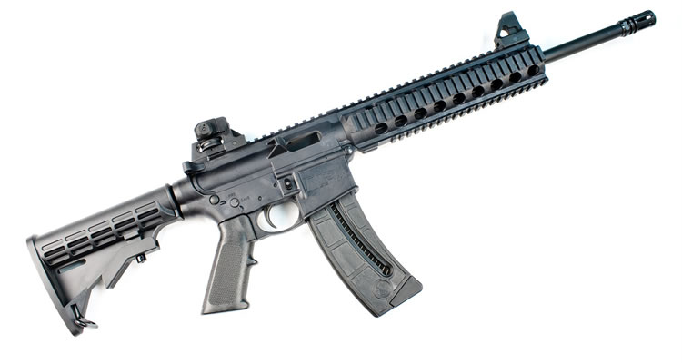 Smith & Wesson MP 15-22 - Cal. 22LR - Sala de Armas