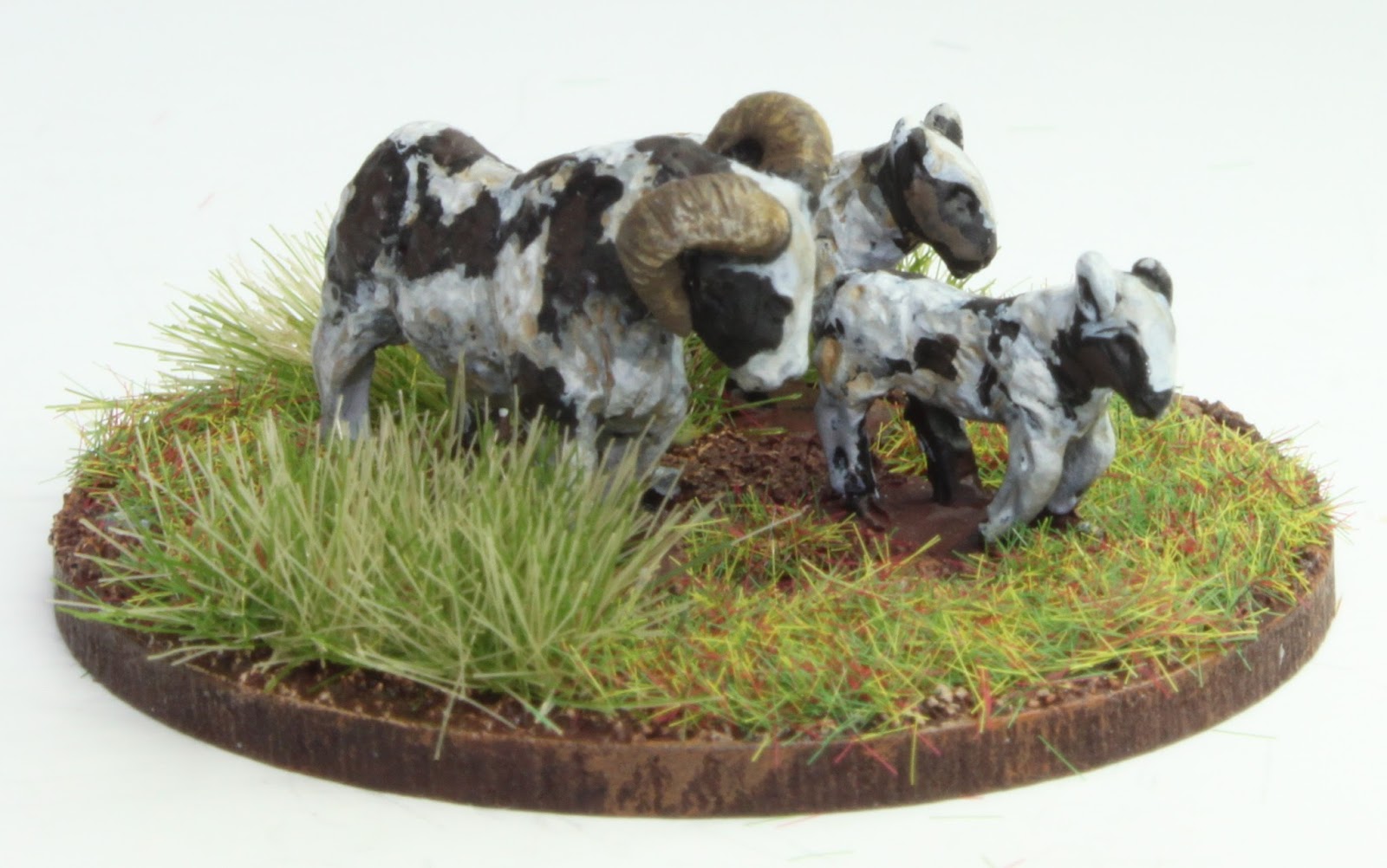 28mm Victorian Warfare: 28mm Sheep