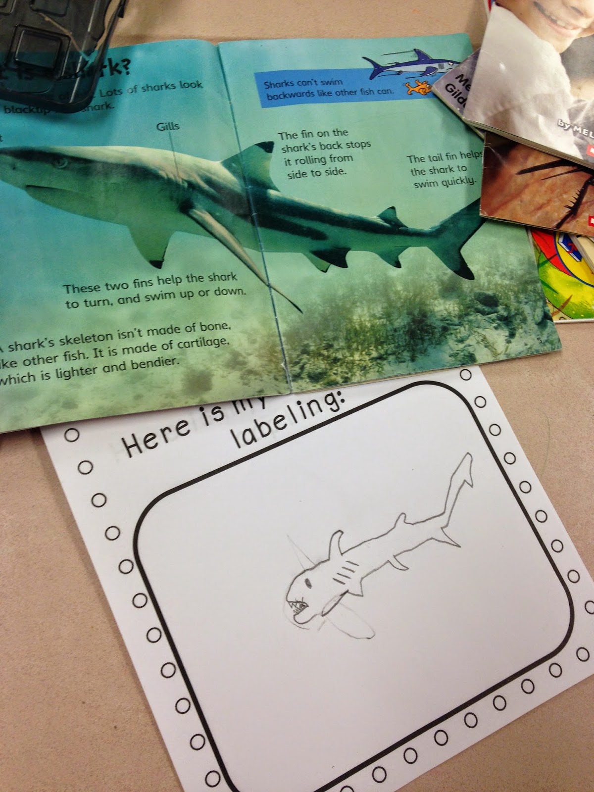 Mrs. Wheeler's First Grade Tidbits: Nonfiction Text Features