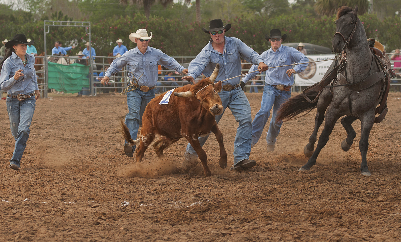 Photography Journal by Katherine Bargar: Ranch Rodeo Day - Yee Haw!