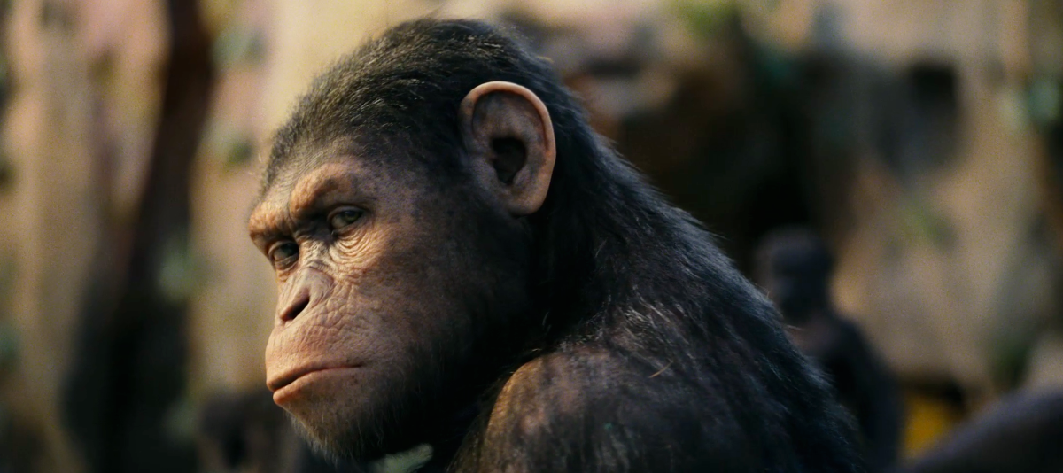 The Voracious Filmgoer: Go Ape: RISE OF THE PLANET OF THE APES