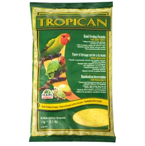 Alexandrine Ringneck Parrot : Hand feeding formula. ( tropican ).