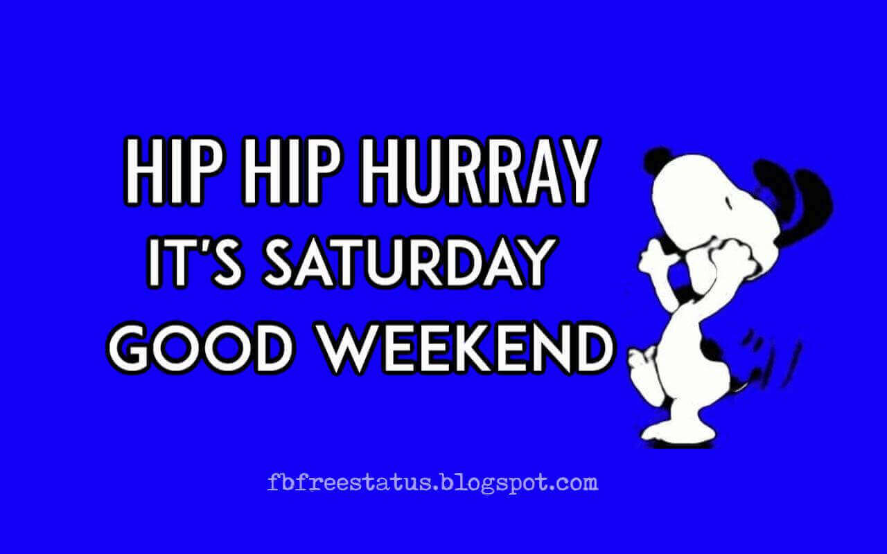 Funny & Happy Saturday Morning Quotes with Happy Saturday Images