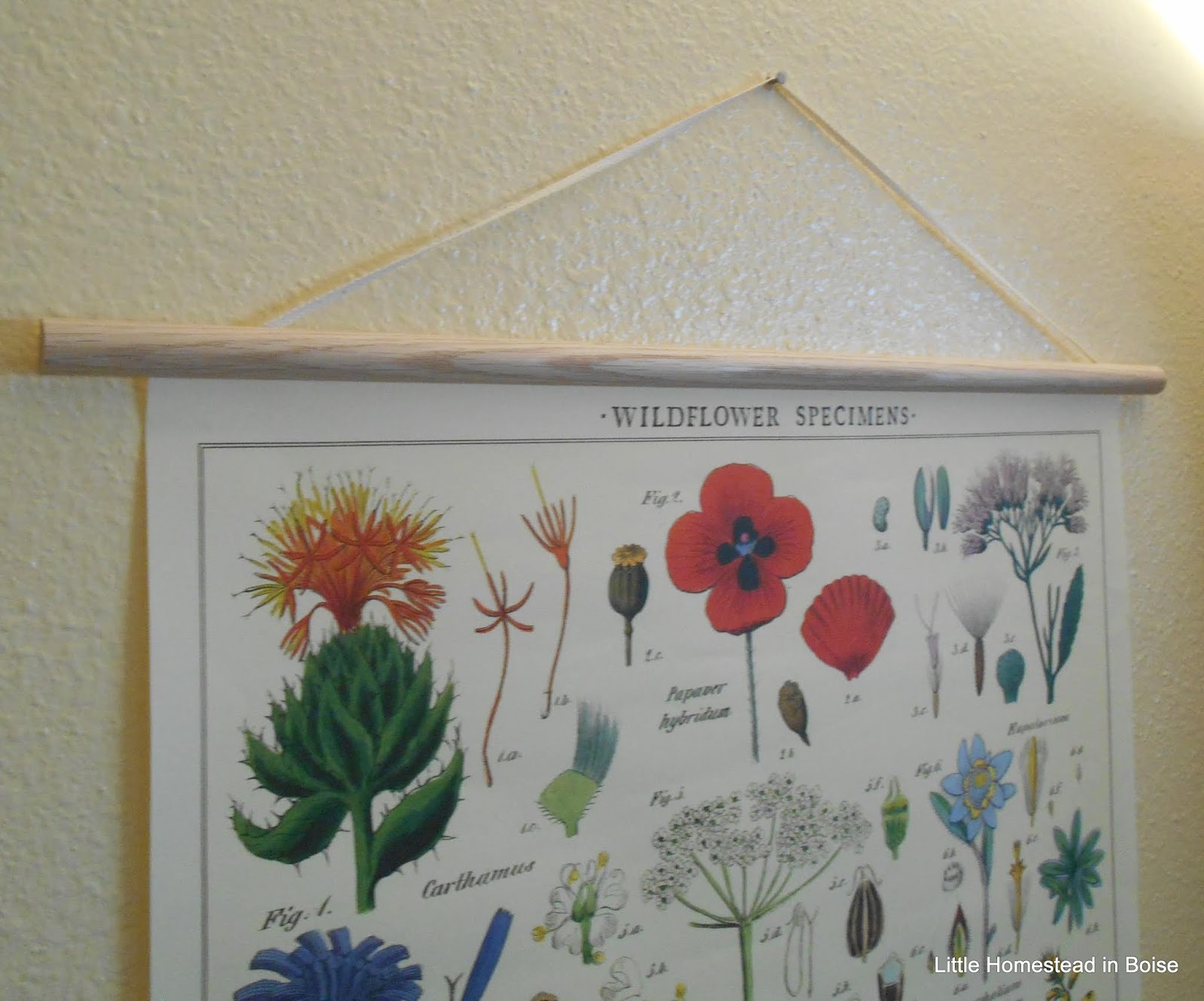 Little Homestead In Boise : DIY Framing Poster Kit, Chicken And Pea ...