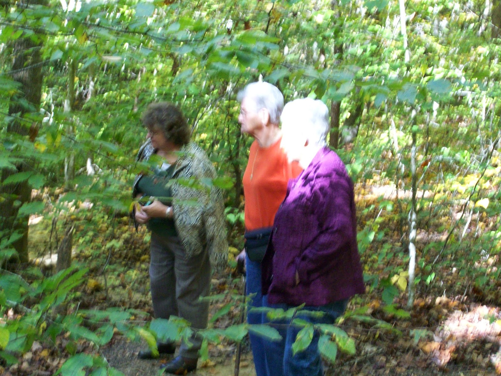 Ric's Travels: Tour of The Dark Corner in South Carolina