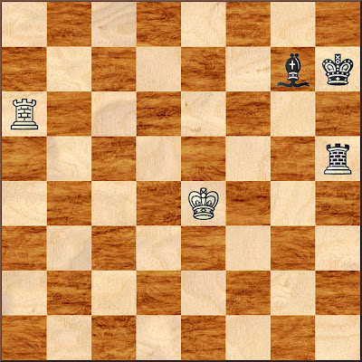 Chess Skills: Rook and Bishop versus Rook