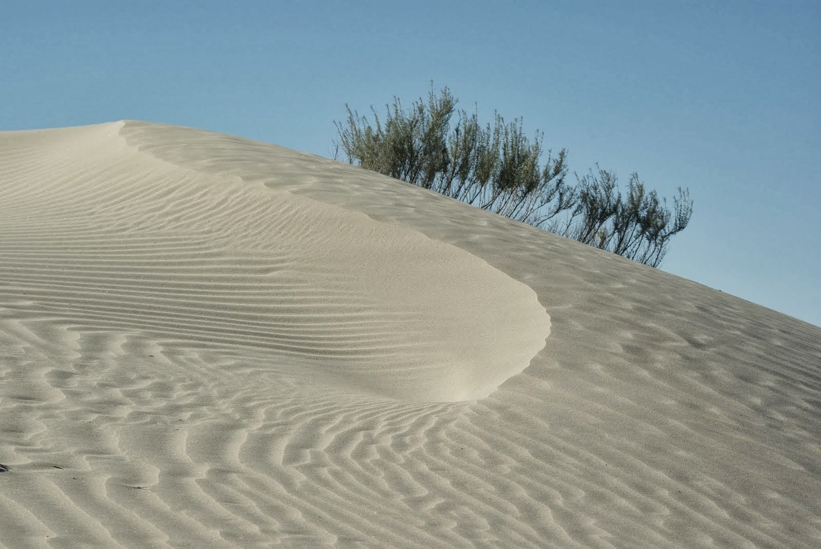 ecorregiones y ecosistemas del peru