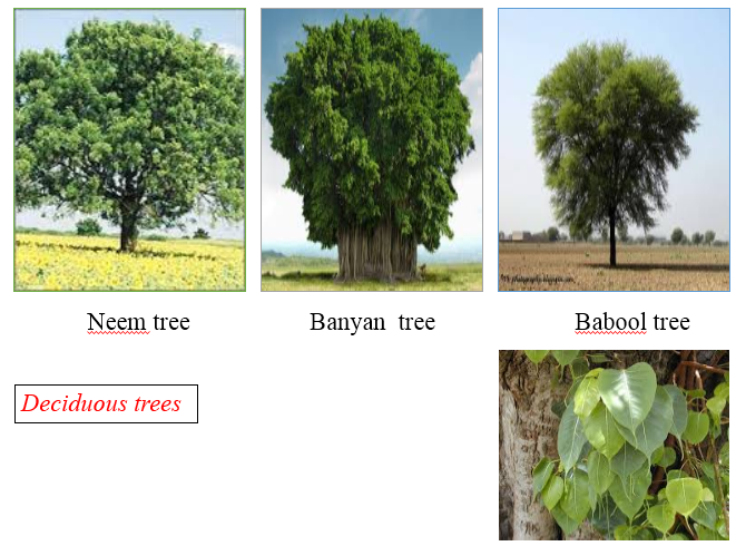 Civil Engineering Study Portal (UG): 2015