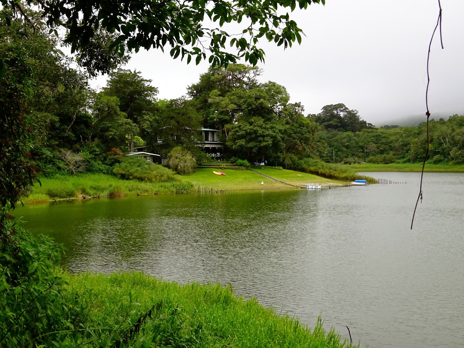 Stoney Family Panama Adventure: VOLCAN - JANSON COFFEE FARM