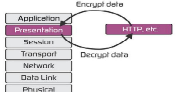 Information Technology: Presentation Layer: