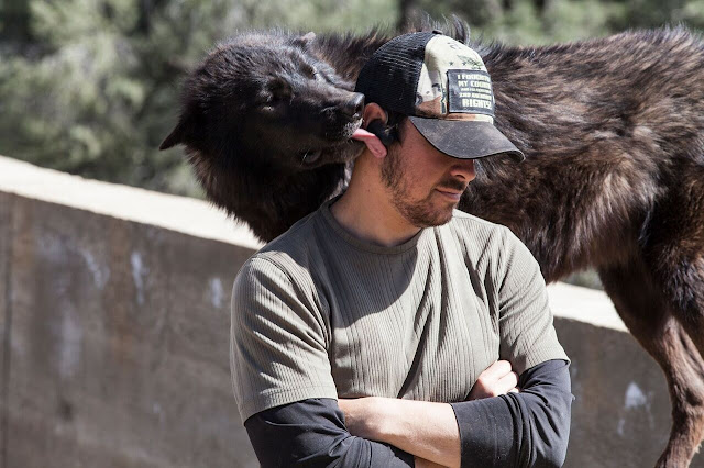 White Wolf : Combat Veterans and Rescued Wolves Heal Each Other From PTSD