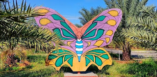 Pasuruan Hadirkan Kebun Kurma, Wisata Ala Timur Tengah - Ana Bintang