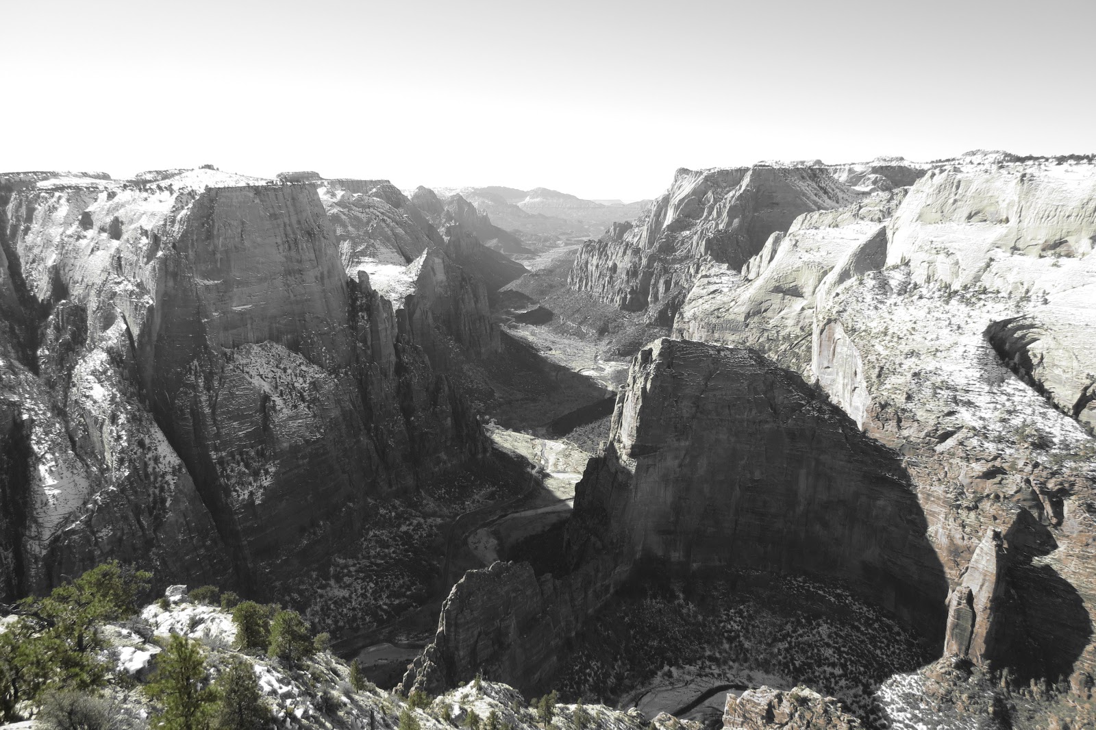 ¡De Utah madre!: Welcome to Utah bro!