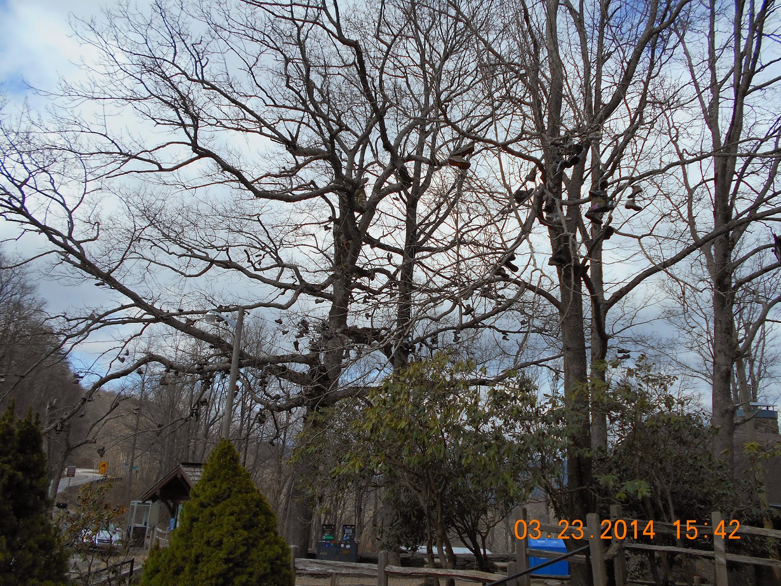 Post War Hike: Day 7 Woody Gap - Day 8 Neel Gap