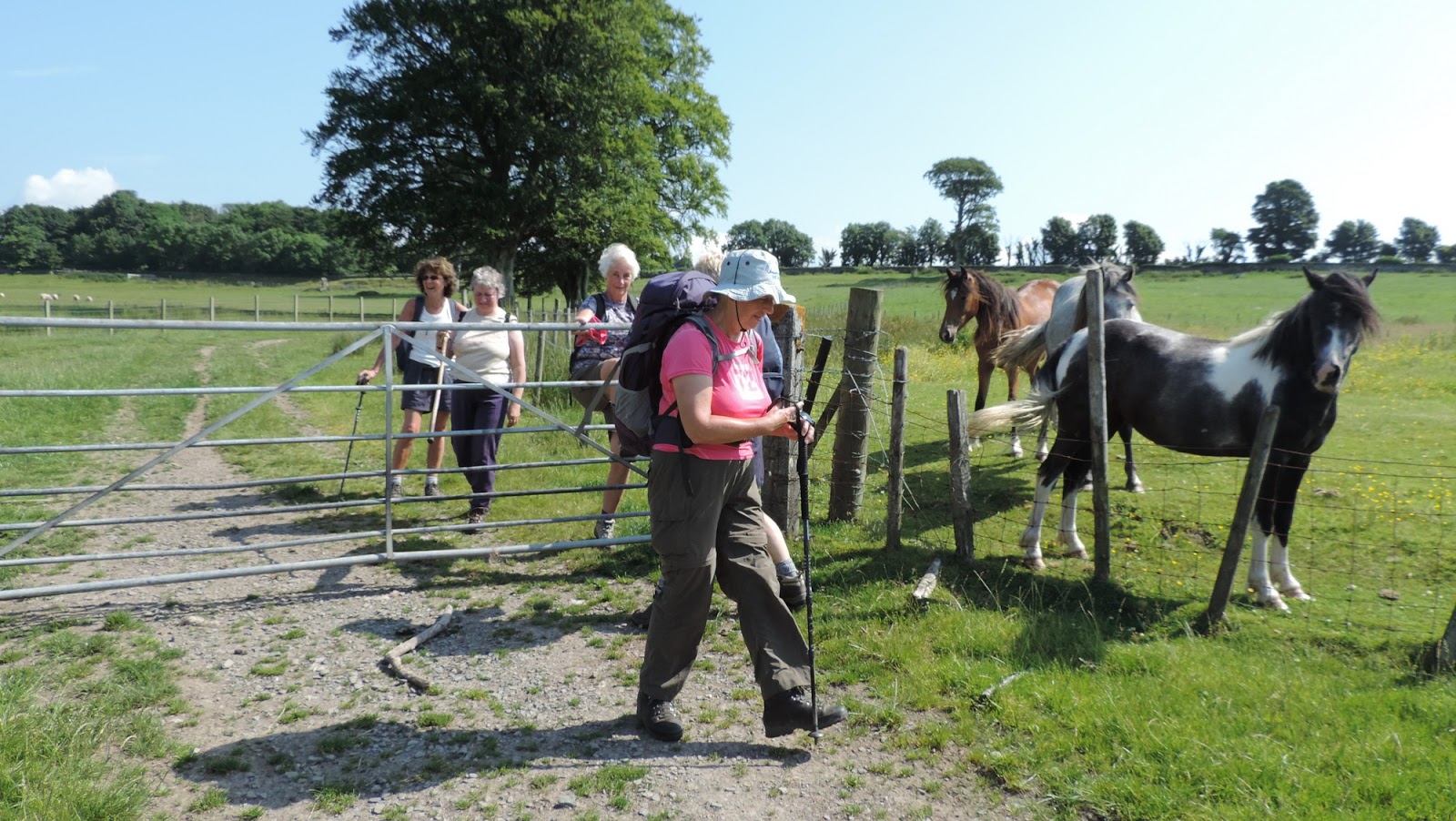 The Glebe Blog: Wigtownshire Ramblers Cuil Creetown July 2013