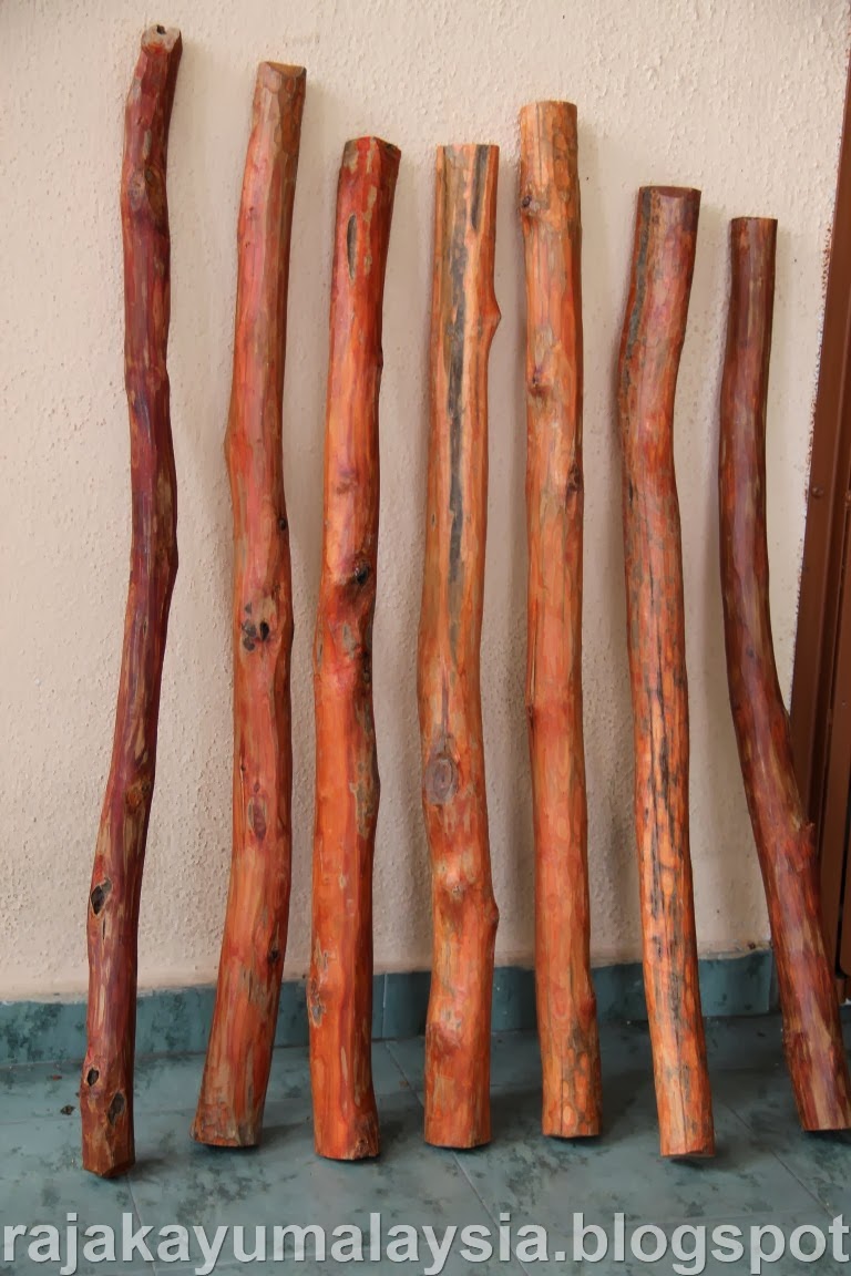 Raja Kayu Malaysia: Raja Kayu