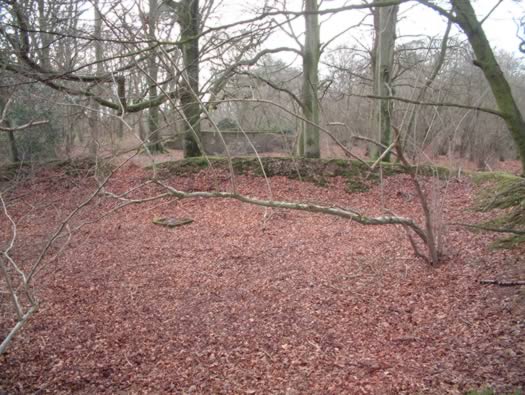 www.atlantikwall.co.uk: RAF Warmwell, Dorset