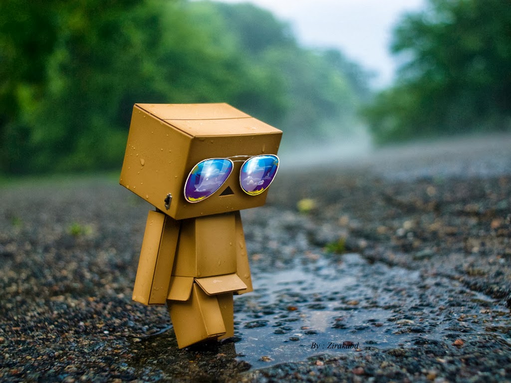 buy danbo: walking alone