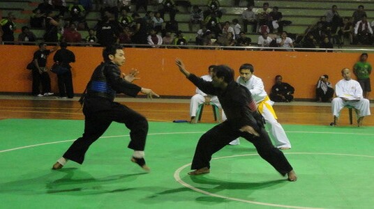 Penjelasan Aspek dan Pertandingan Pencak Silat - Perpustakaan Ilmu ...
