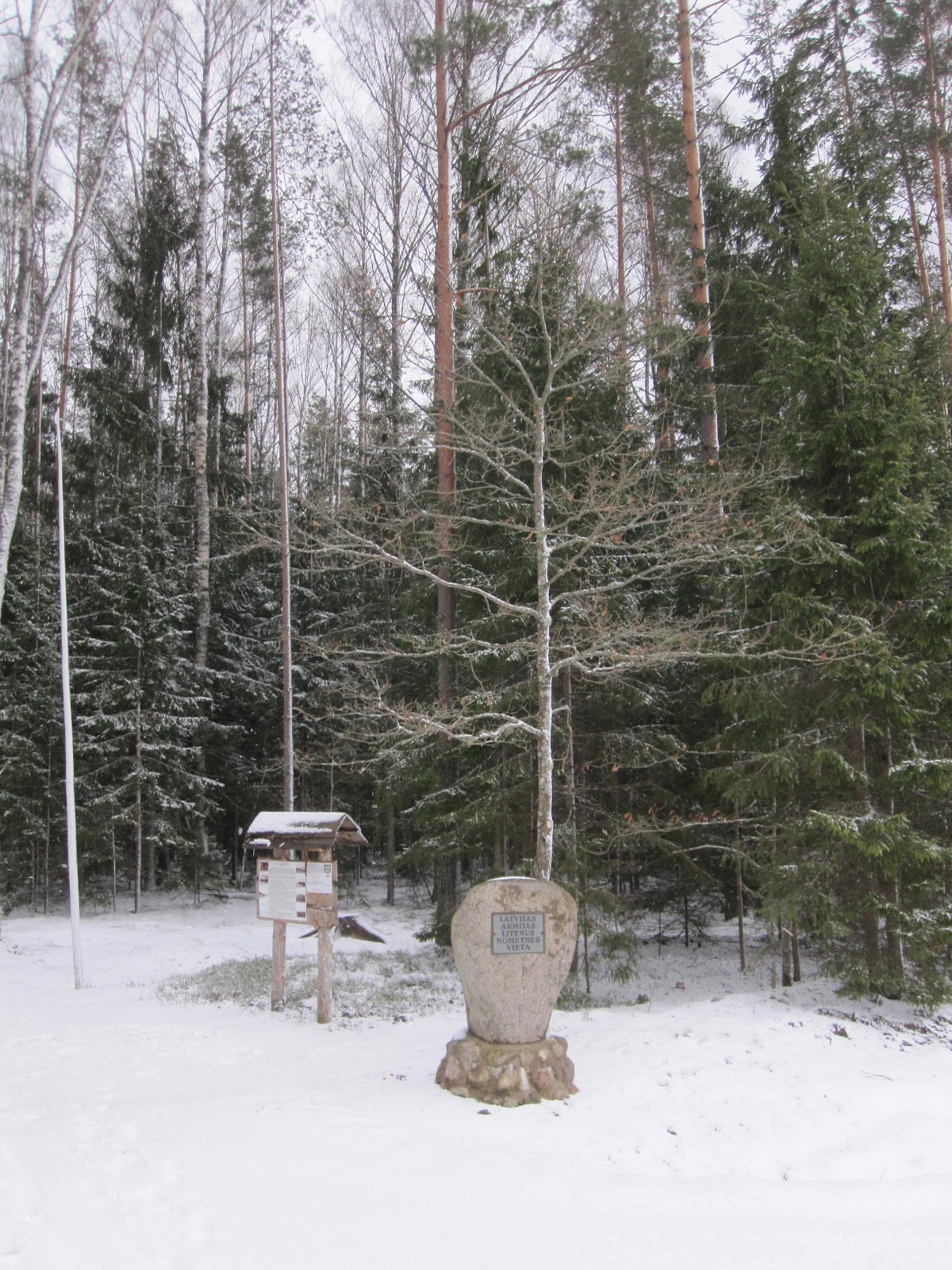 Four Strings Good..: Whispering trees - Litene, the forest of death