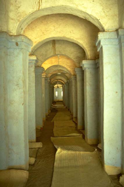 Dünya'nın Bütün Camileri: Pictures of Great Mosque-3, Niono, Mali