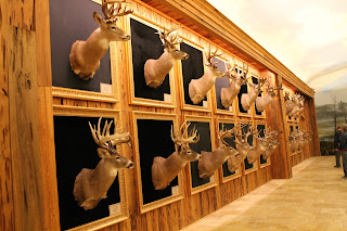 The Missouri Mom: Johnny Morris’ Wonders of Wildlife National Museum ...