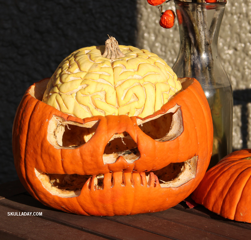 [BONUS] Pumpkin Anatomy II: Update 3