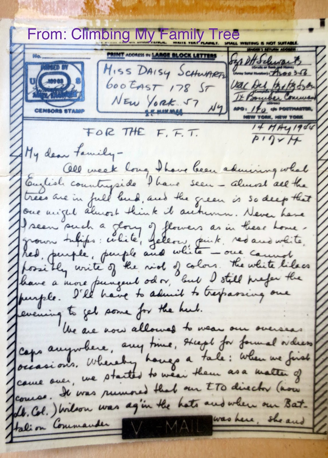 Climbing My Family Tree: Saving WWII Letters for the Next Generation